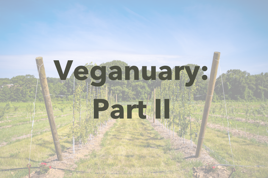 Vegan Meal Plans - Veganuary Part II – Nutrition For Longevity Meal ...